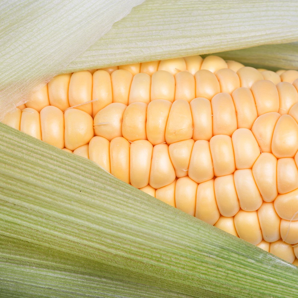 Yellow Corn | Corn | Baldor Specialty Foods