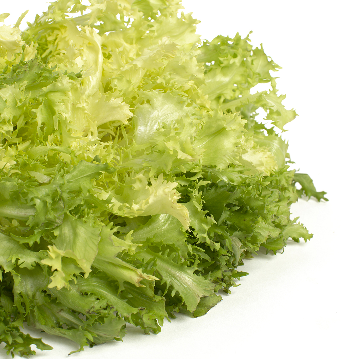 Imported Spanish Frisee | Frisee | Baldor Specialty Foods