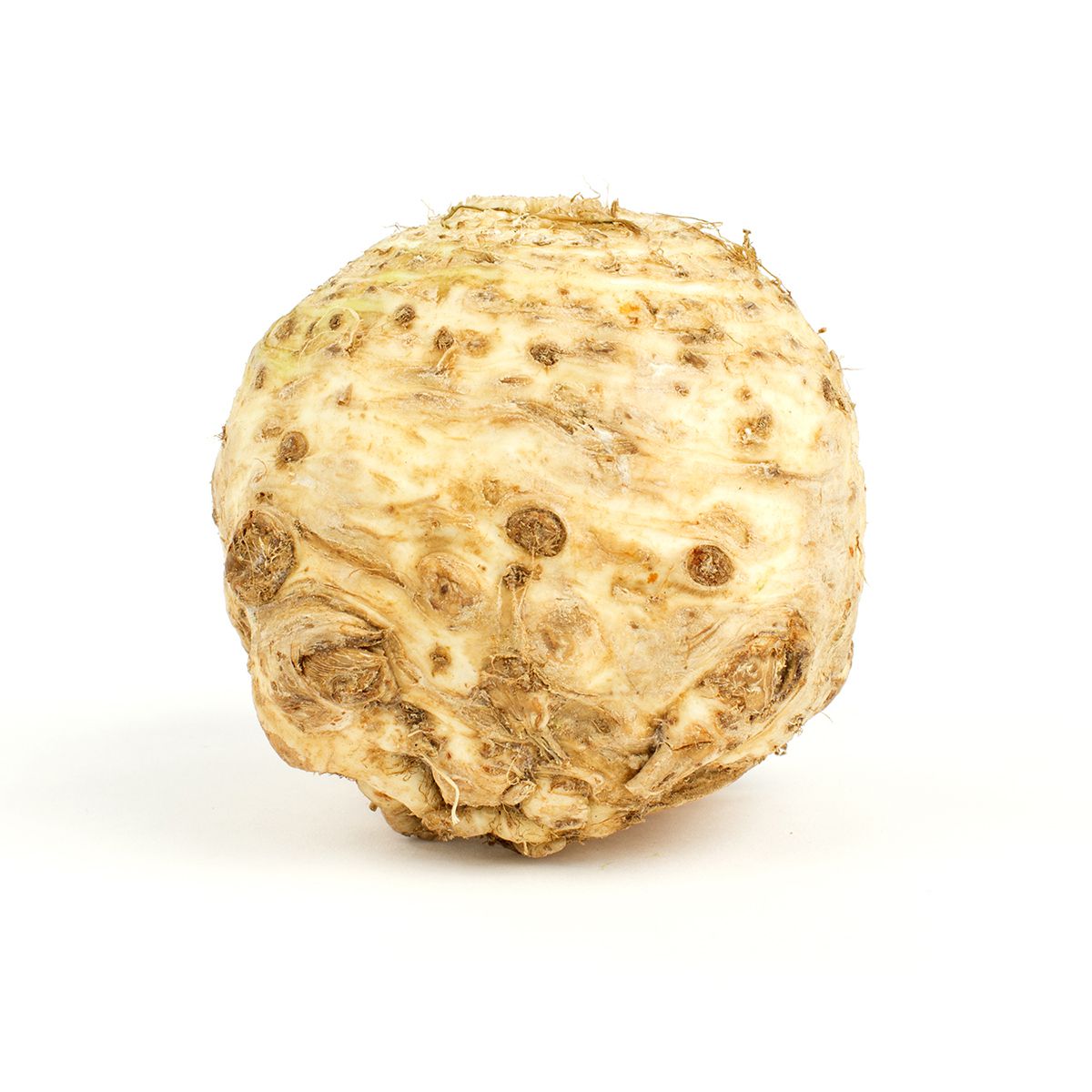 Celery Root | Celery | Baldor Specialty Foods